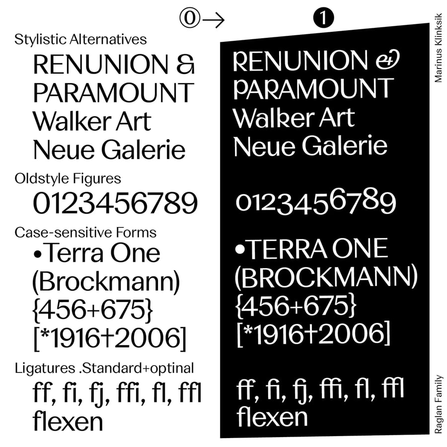 "Discover the Raglan Sans and Serif Bundle: Fonts for Creative Excellence"